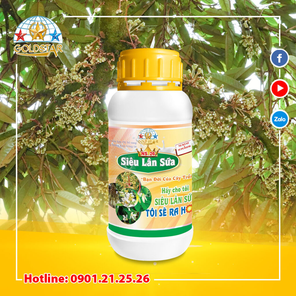 keo-mat-cua-sieu-lan-sua-sieu-hieu-qua-cuc-manh-ra-hoa-cuc-nhanh