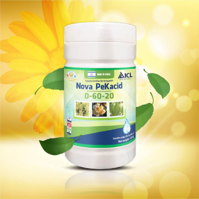 Thuốc tạo mầm hoa Nova Pekacid kích thích ra hoa đồng loạt.