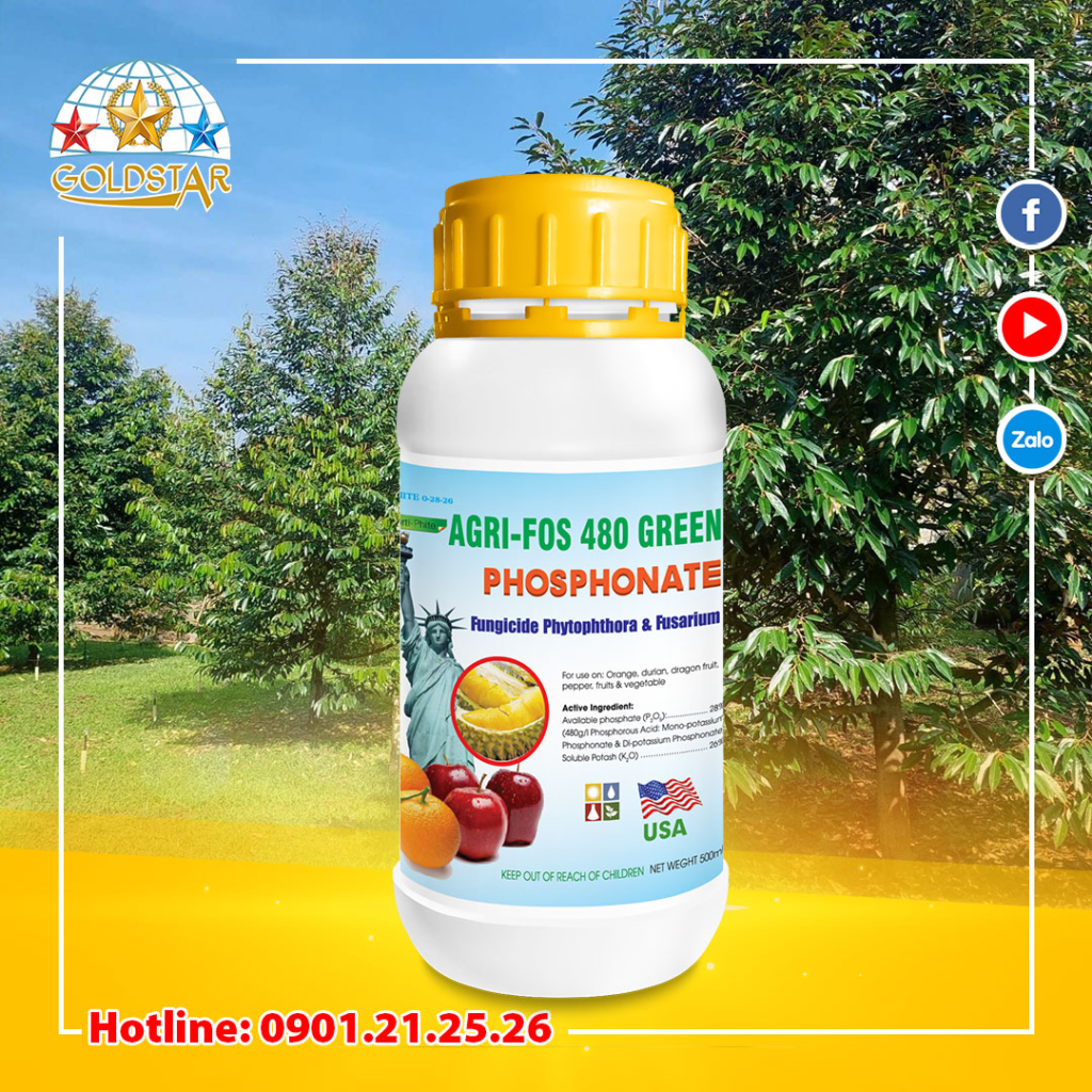 Thuốc trừ nấm Agrifos 480 Green đặc trị nấm bệnh