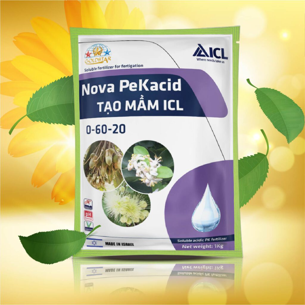 Tạo mầm Nova Pekacid 0-60-20 cao cấp nhập khẩu từ ISRAEL