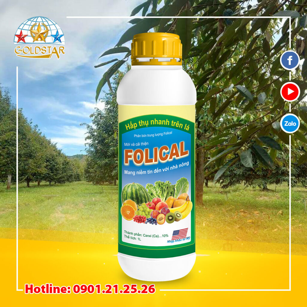 Folical chống nứt trái sử dụng công nghệ Manni-Plex tiên tiến nhất thế giới