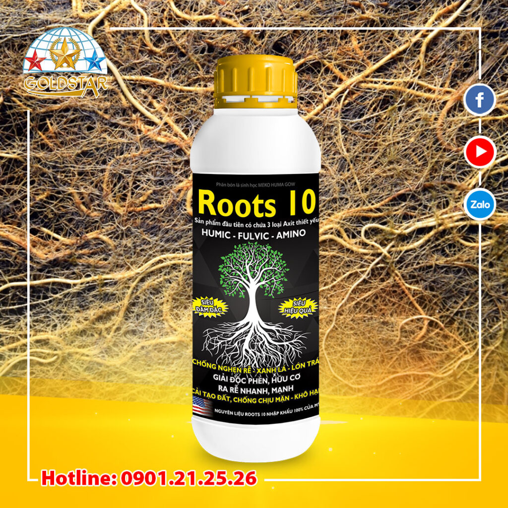 Thuốc kích rễ Roots 10 là sản phẩm hữu cơ cao cấp của Mỹ
