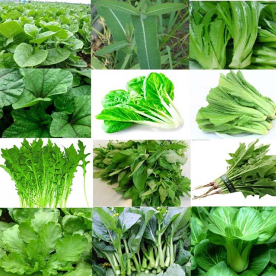 Super humic với rau ăn lá mang lại giá trị kinh tế như thế nào?