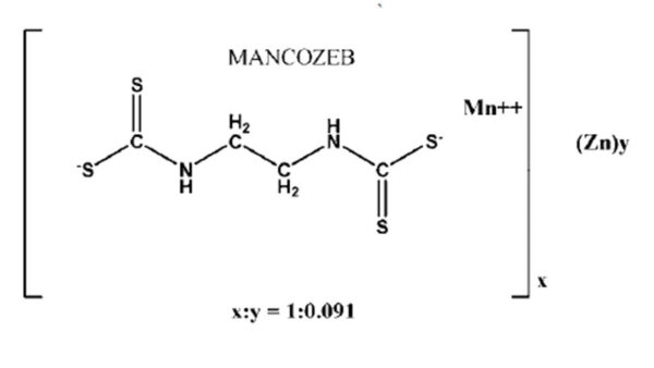 Hoạt Chất Mancozeb Là Thuốc Gì? Tác Dụng Mancozeb