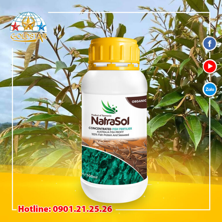 Phân bón hữu cơ Natrasol nhập khẩu Úc • Kim Nông Gold Star